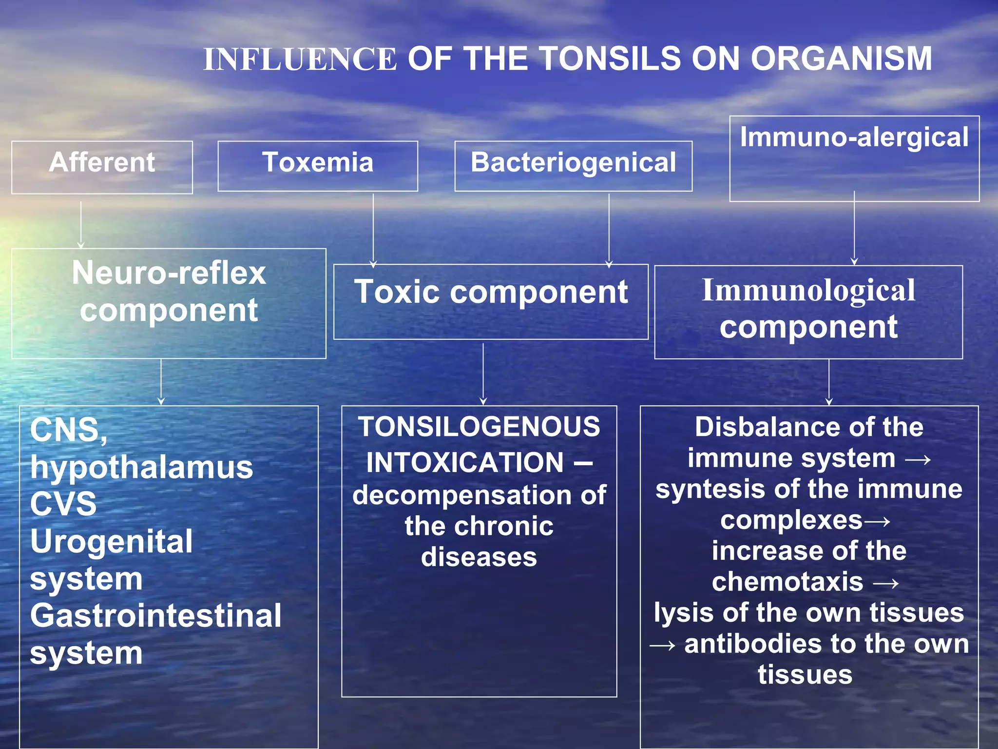 Anatomy & Physiology of pharynx. Tonsillitis | PPT