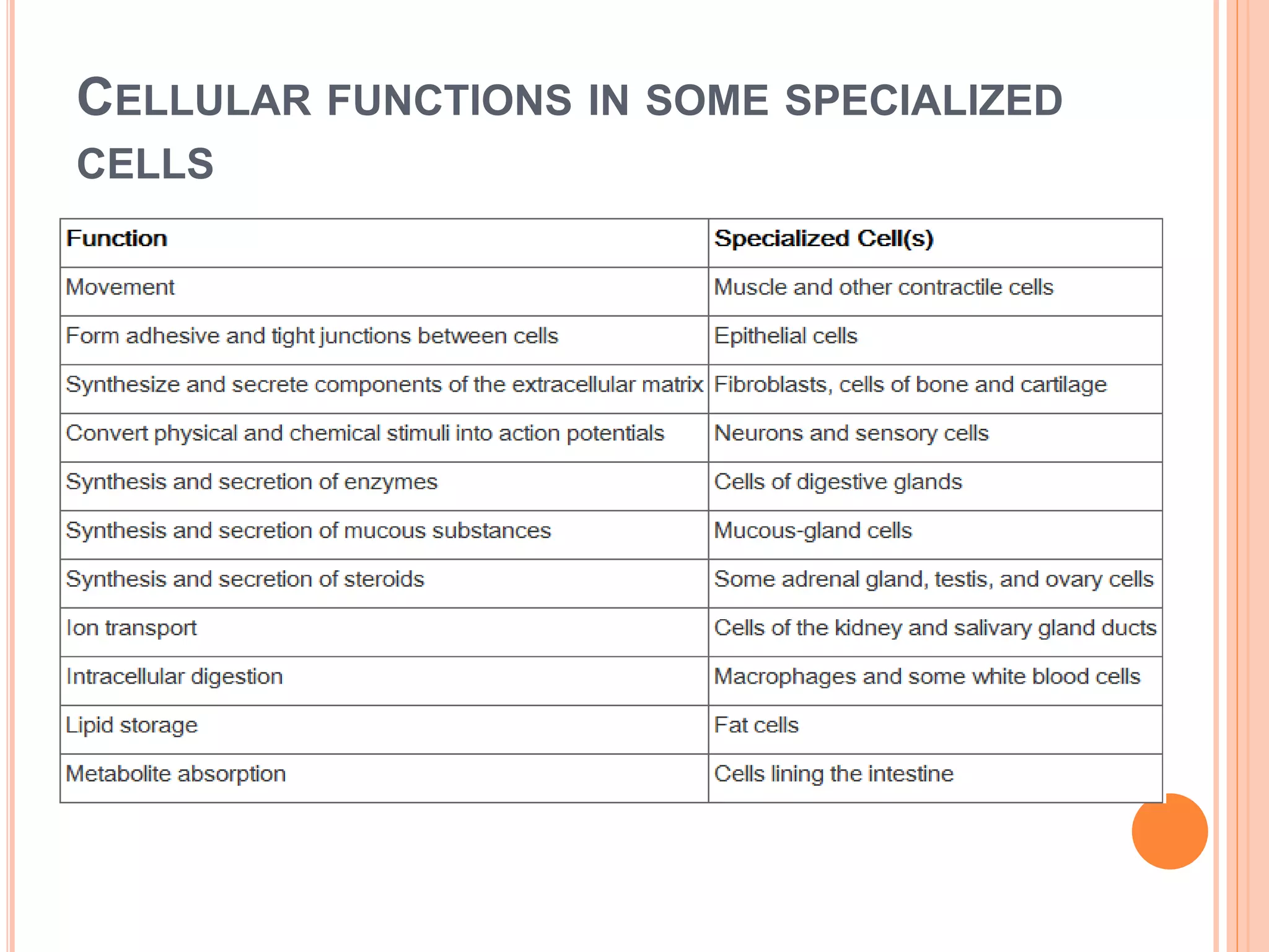General morphology of the cell | PPTX