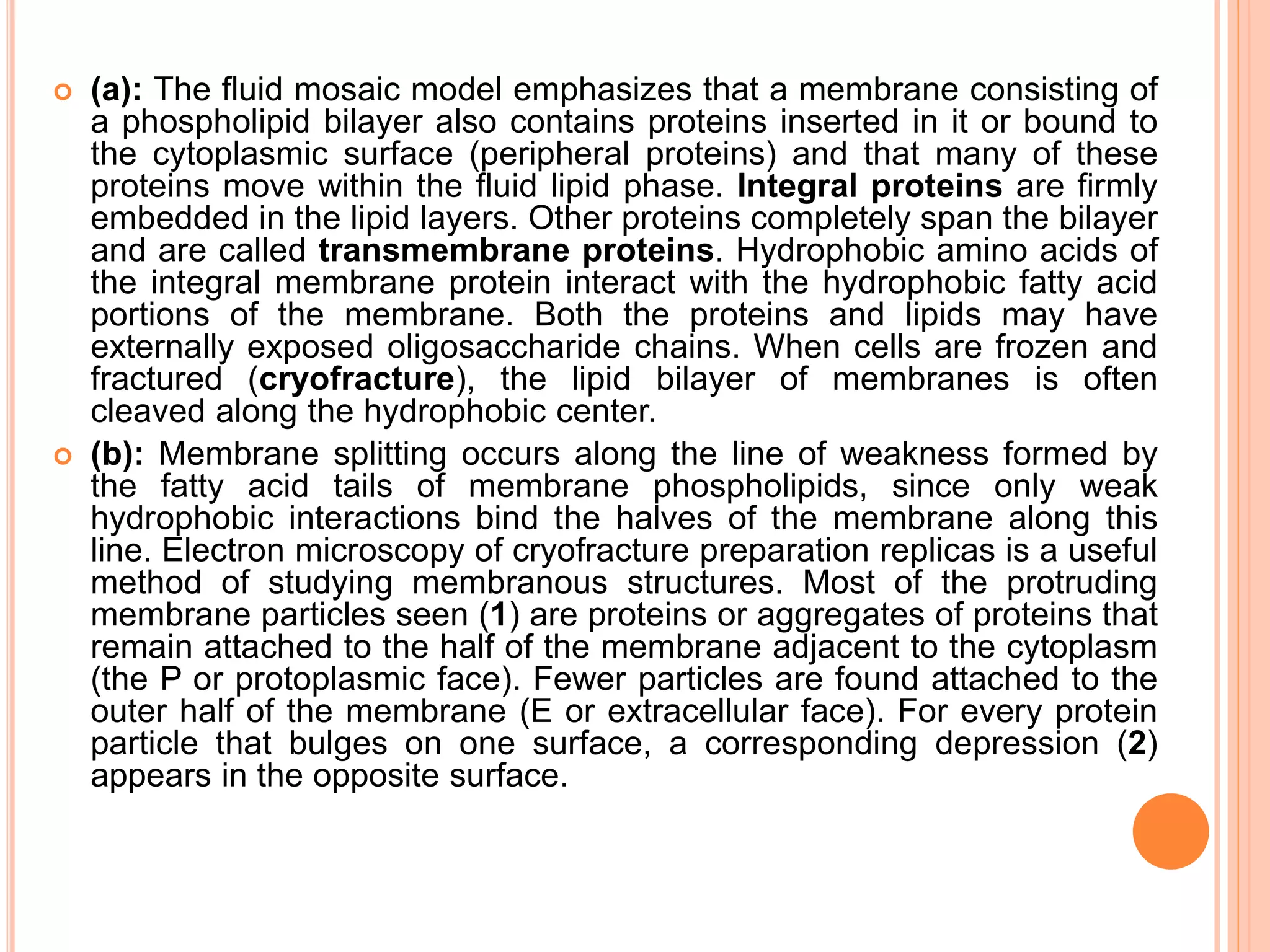 General morphology of the cell | PPTX