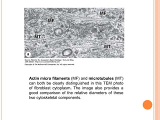 General morphology of the cell | PPTX