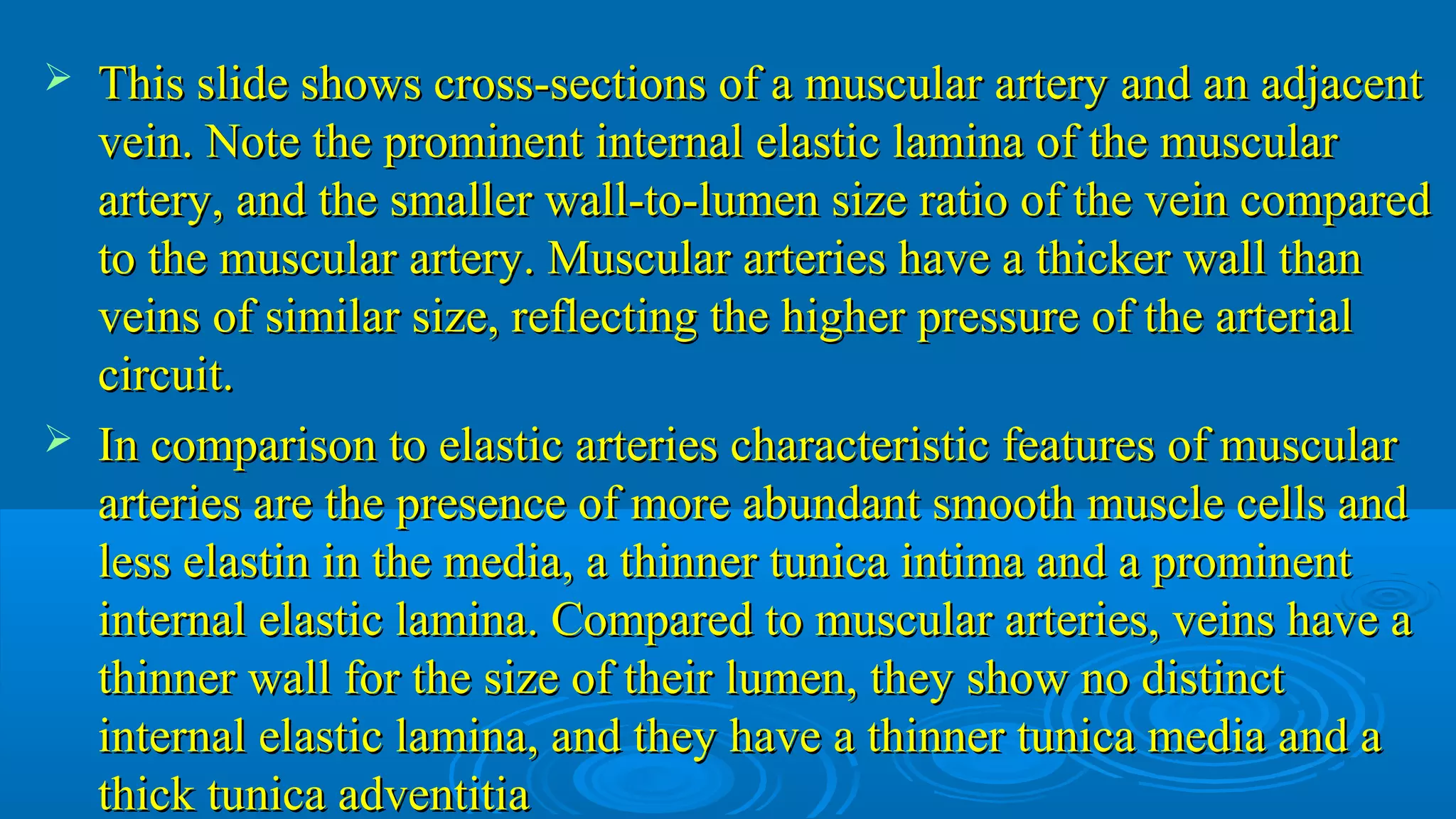 Histology of Cardiovascular system | PPT