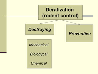 Epidemiological method of investigation. Epidemic Diagnosis. | PPT