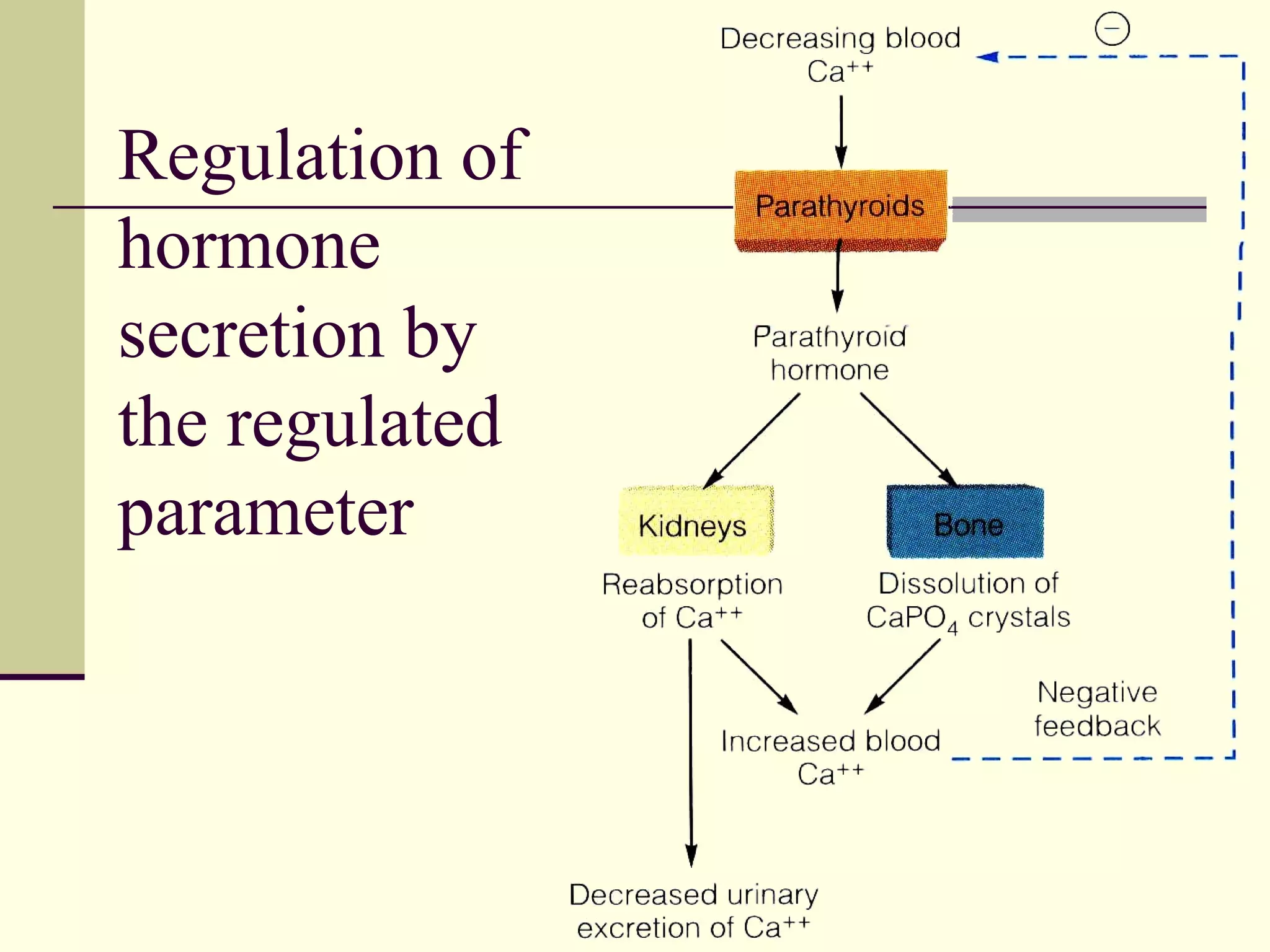 Principles of Hormonal regulations | PPT
