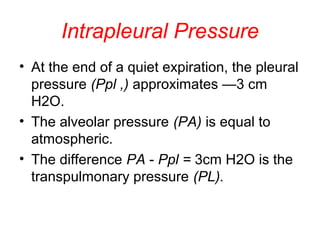 External Respiration | PPT