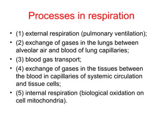 External Respiration | PPT