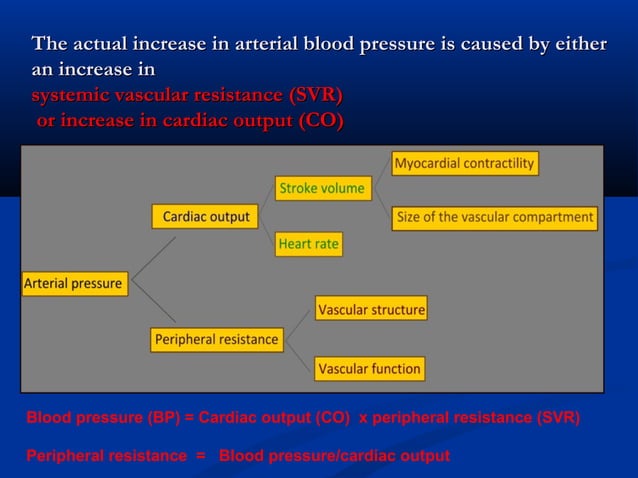Essential Hypertension | PPT