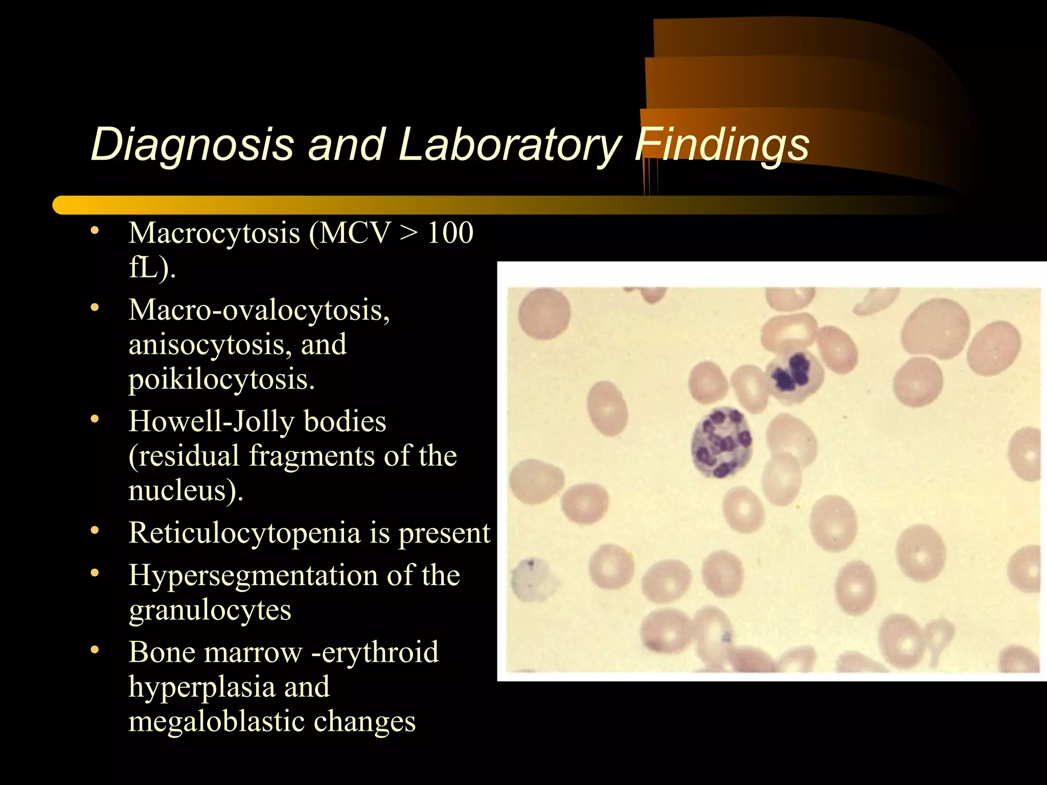 Iron Deficiency Anemia. B12 & Folat Deficiency Anemia | PPT