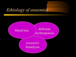 Iron Deficiency Anemia. B12 & Folat Deficiency Anemia | PPT