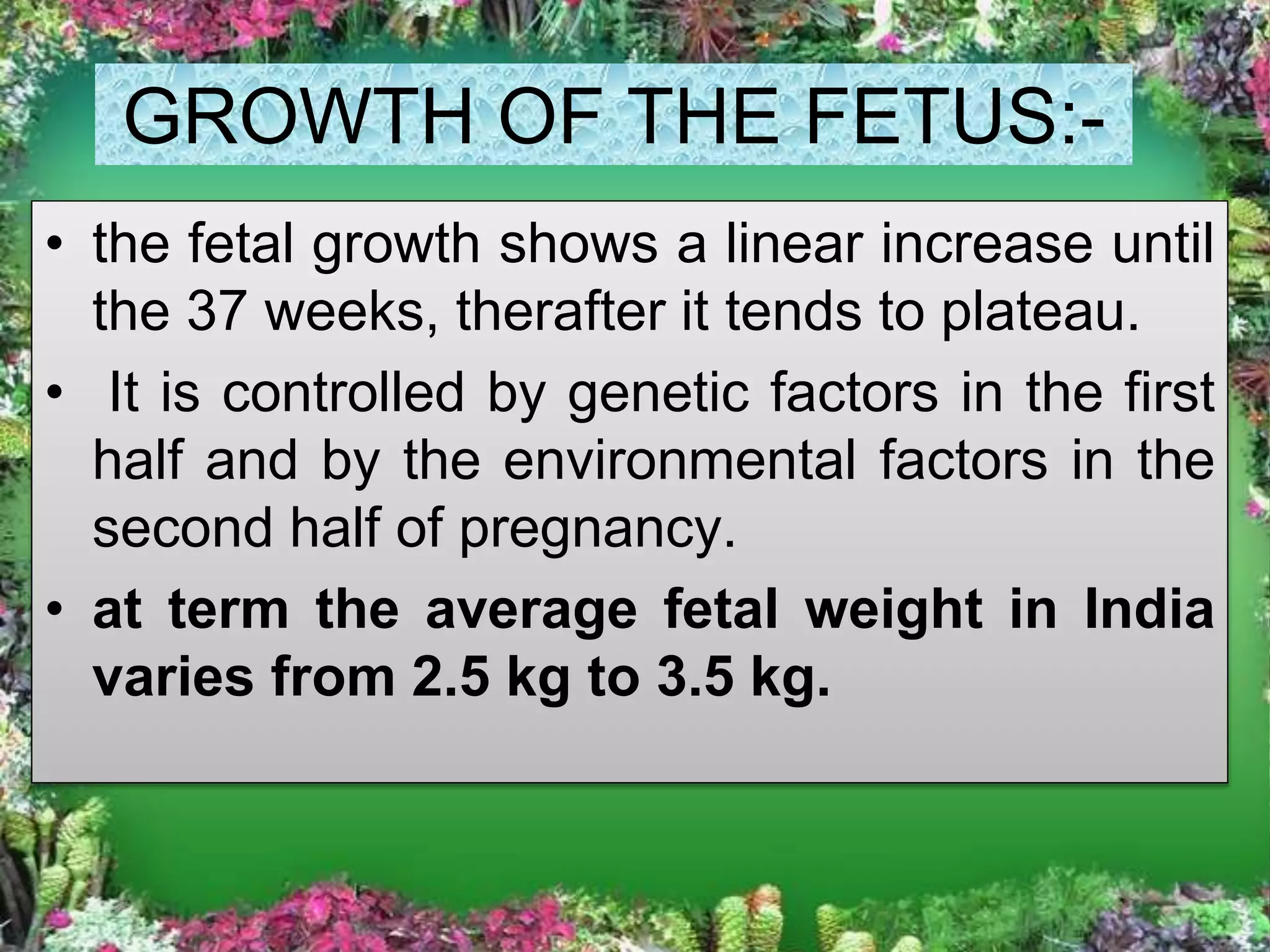 fetal development and fetal circulation | PPTX