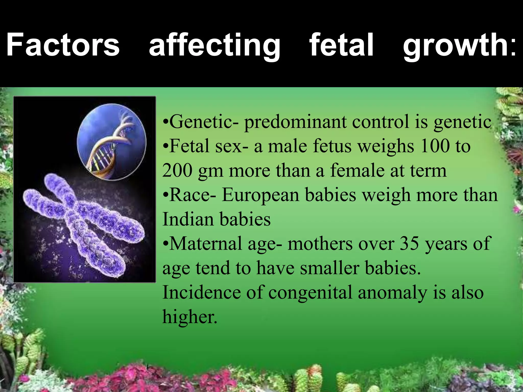 fetal development and fetal circulation | PPTX