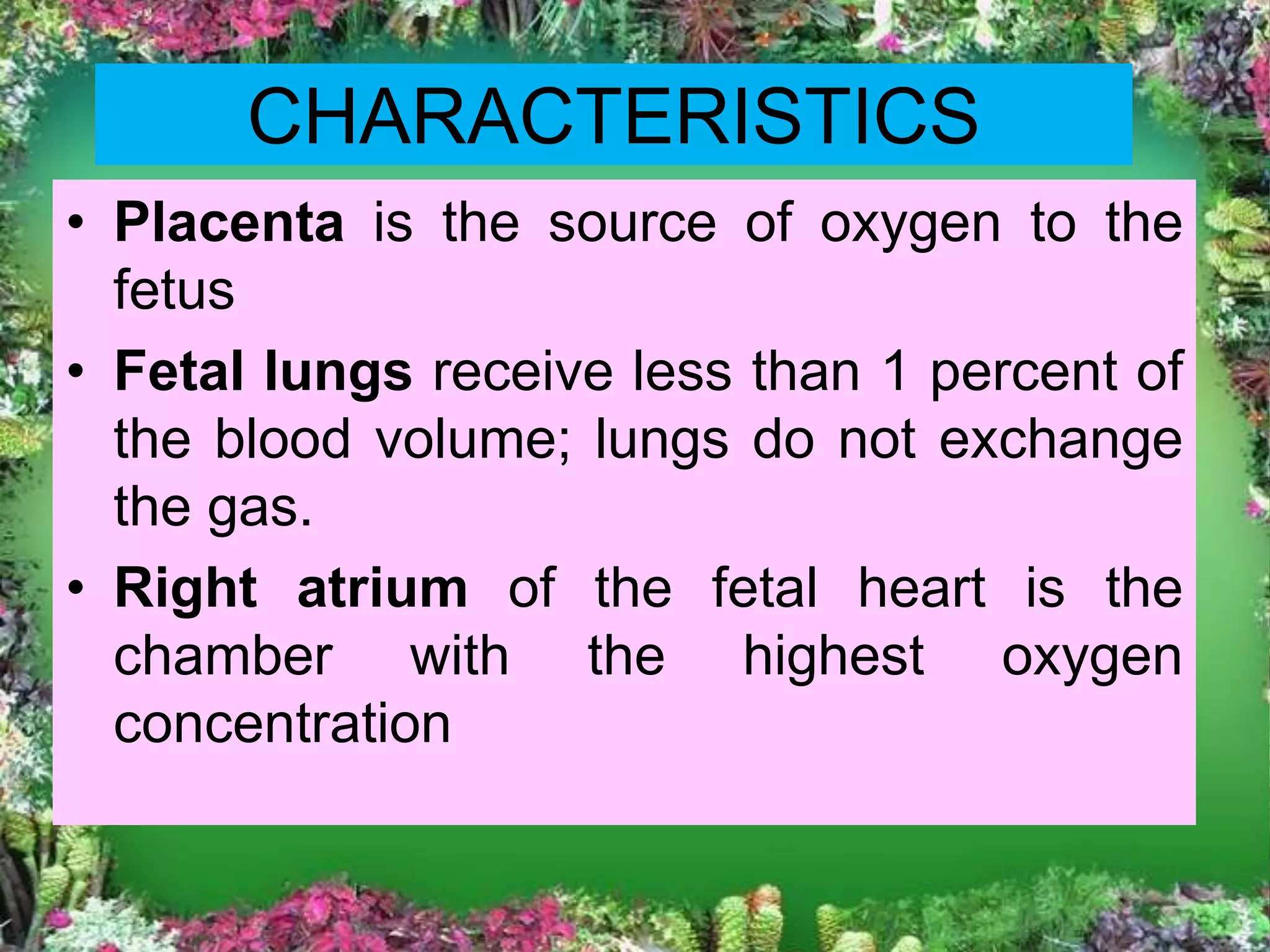 fetal development and fetal circulation | PPTX