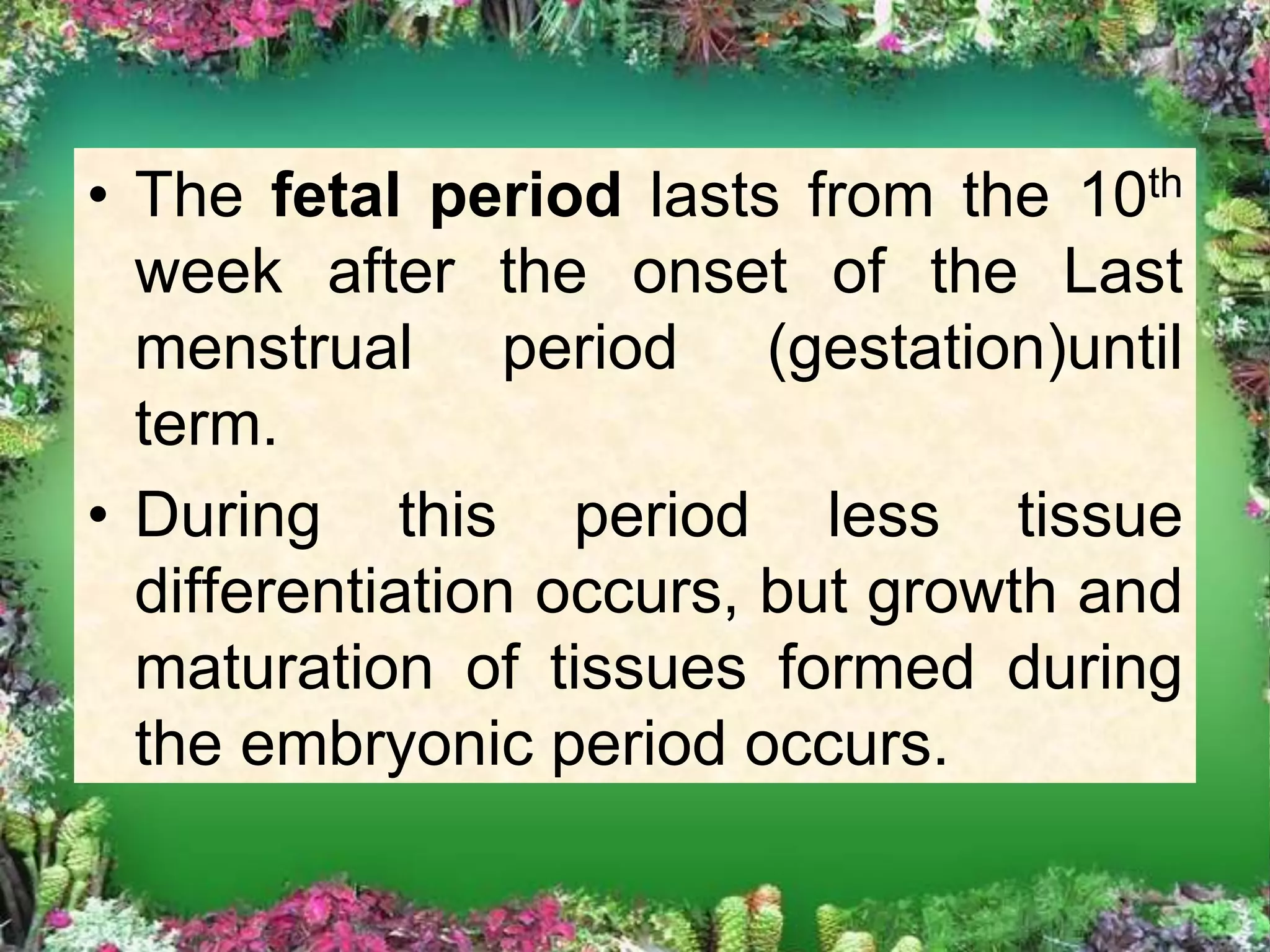 fetal development and fetal circulation | PPTX