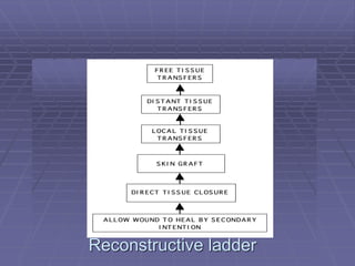 2.plastic surgery | PPT