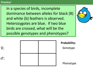 Heredity: Traits of Inheritance | PPT