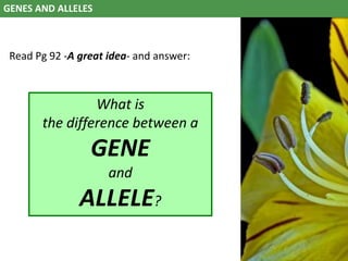 Heredity: Traits of Inheritance | PPT