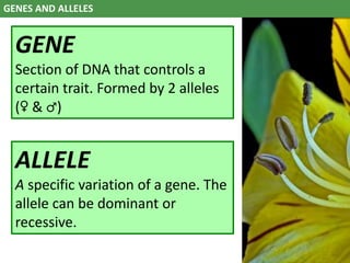 Heredity: Traits of Inheritance | PPT