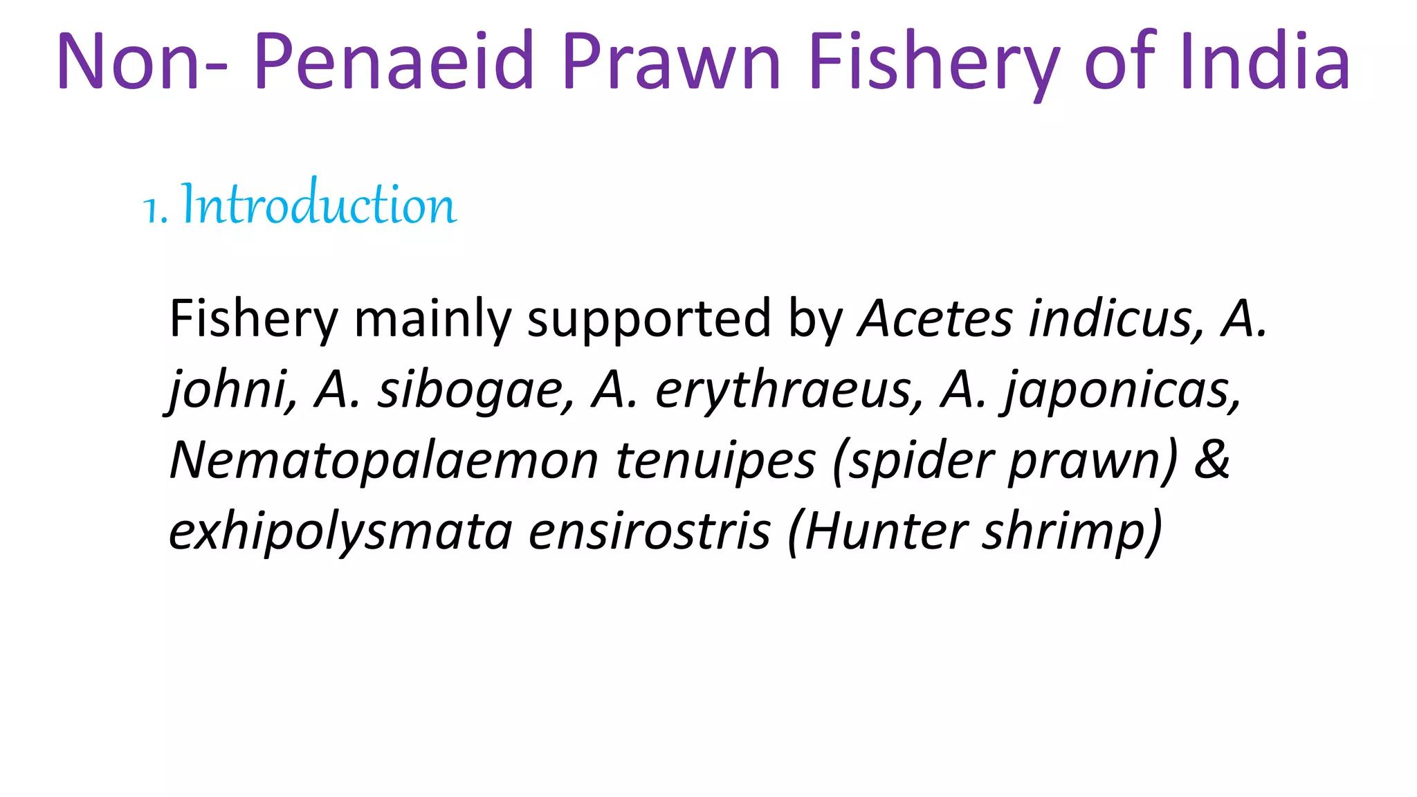 2. Non Penaed Shrimp Fishery of India | PPTX