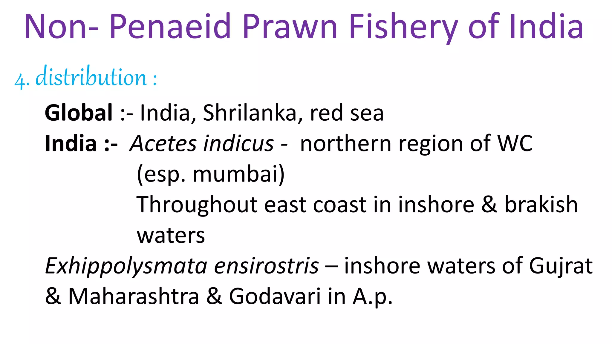 2. Non Penaed Shrimp Fishery of India | PPTX