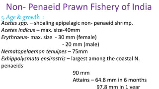 2. Non Penaed Shrimp Fishery of India | PPTX