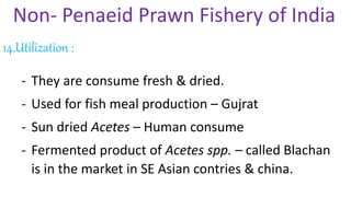 2. Non Penaed Shrimp Fishery of India | PPTX