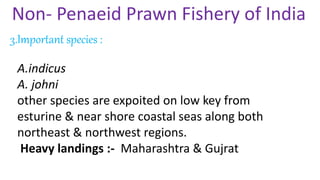 2. Non Penaed Shrimp Fishery of India | PPTX