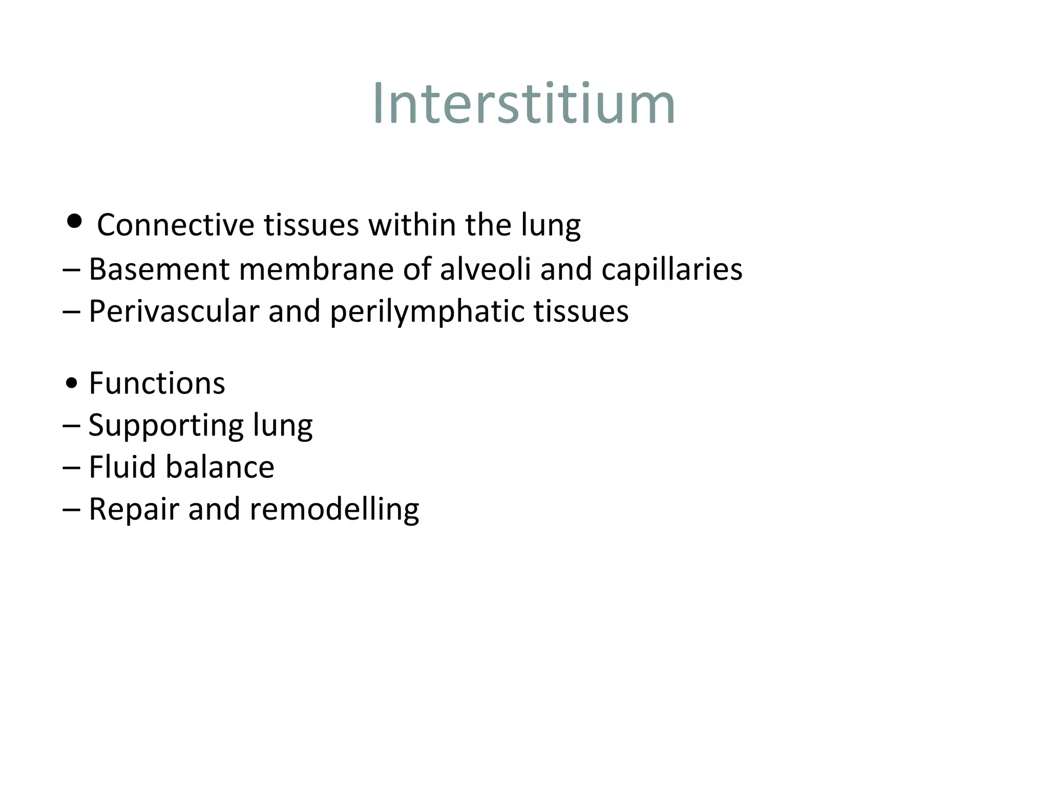 Anatomy and Physiology of Lung Interstitium | PPT