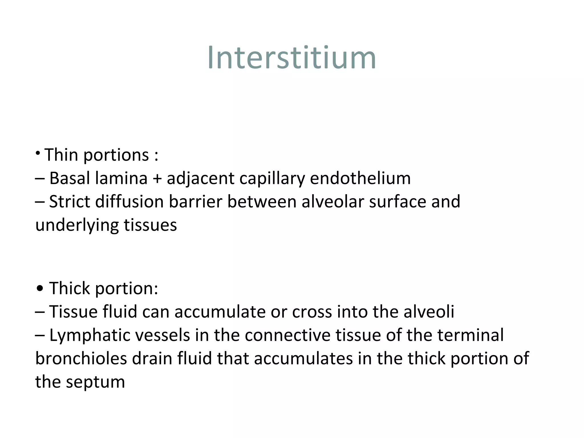 Anatomy and Physiology of Lung Interstitium | PPT