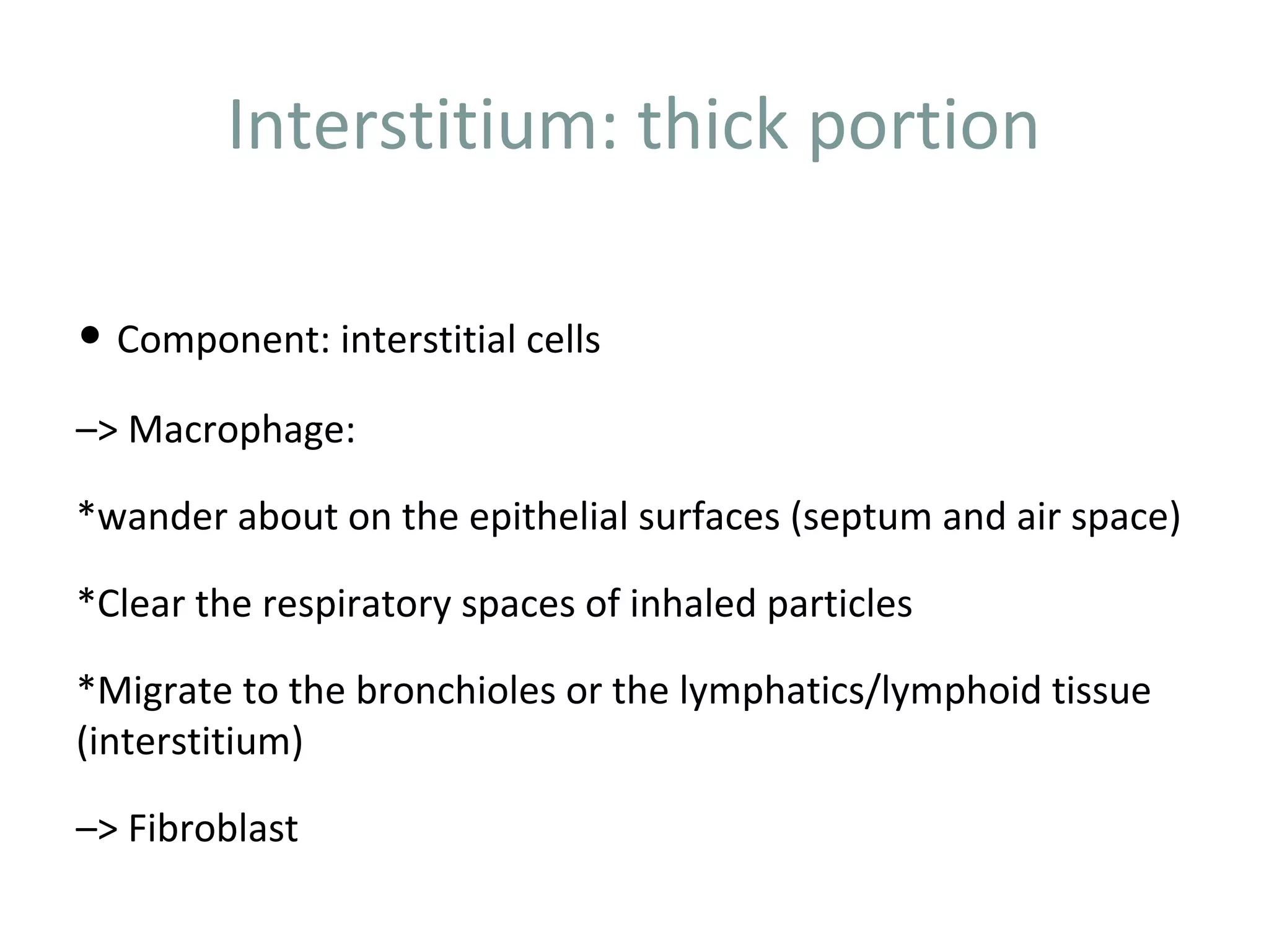 Anatomy and Physiology of Lung Interstitium | PPT