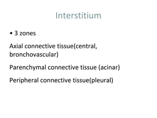 Anatomy and Physiology of Lung Interstitium | PPT