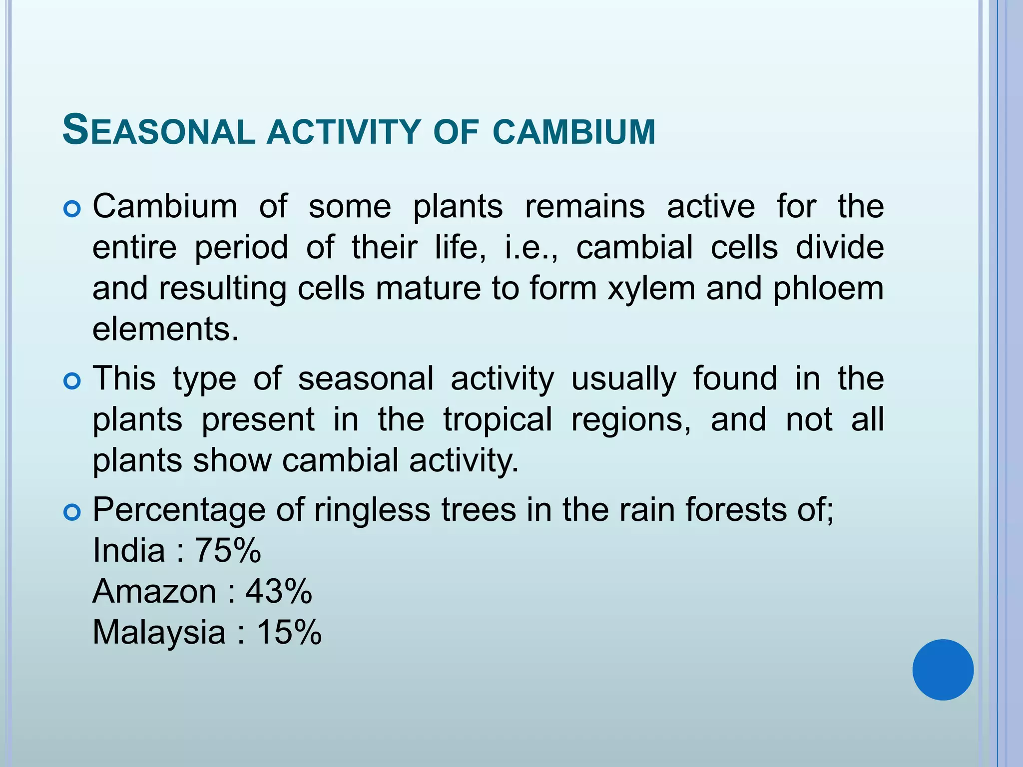 Vascular Cambium & Seasonal activity & its Role in Stem & Root | PPTX
