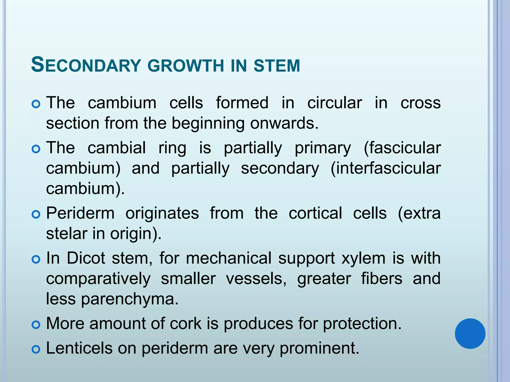 Vascular Cambium & Seasonal activity & its Role in Stem & Root | PPTX