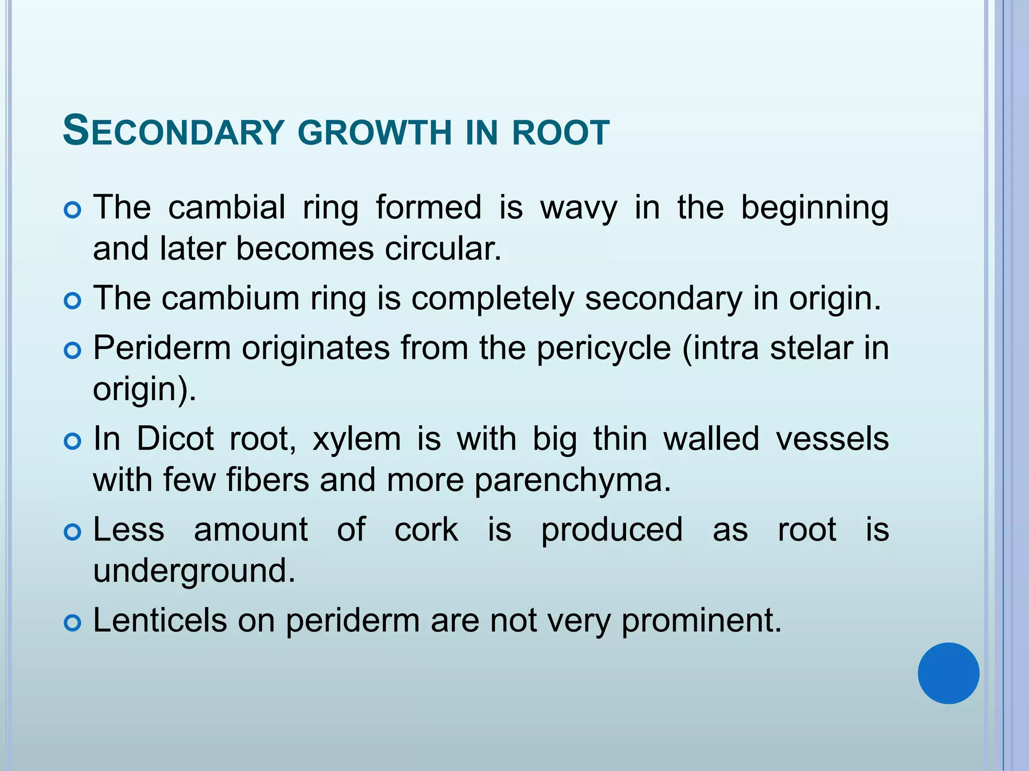 Vascular Cambium & Seasonal activity & its Role in Stem & Root | PPTX