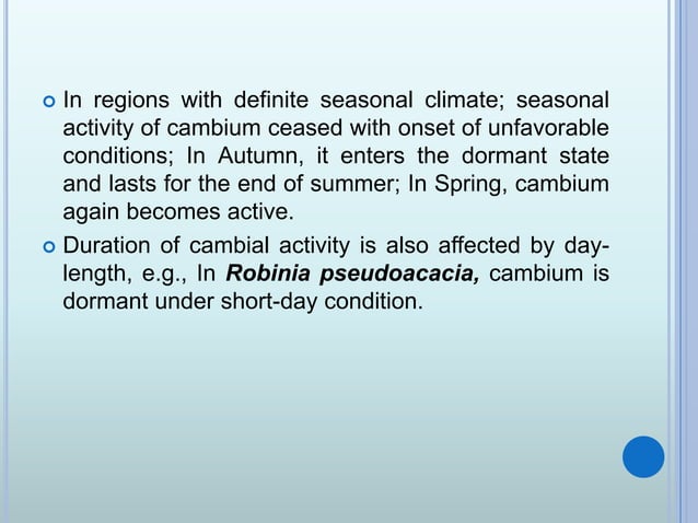 Vascular Cambium & Seasonal activity & its Role in Stem & Root | PPTX