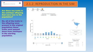 Reproduction and Traits | PDF | Genetics | Science