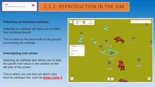 Reproduction and Traits | PDF | Genetics | Science