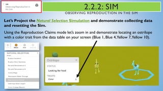 Survival and Reproduction | PDF