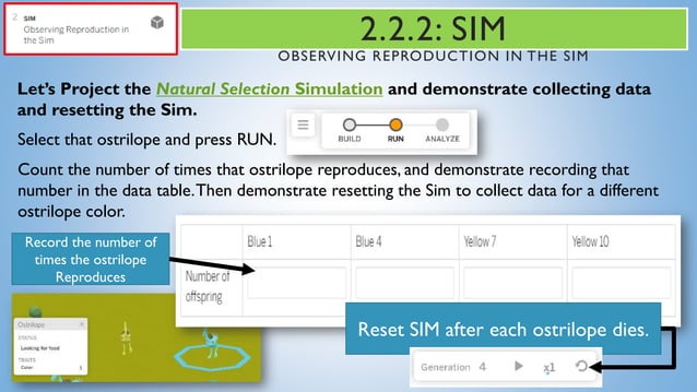Survival and Reproduction | PDF