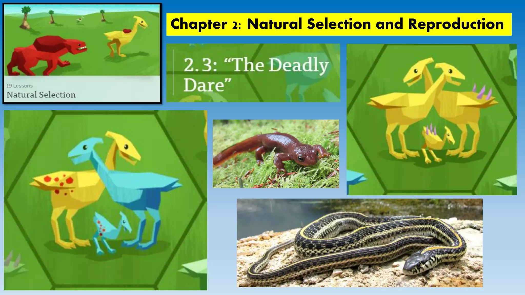 The Deadly Dare | PDF