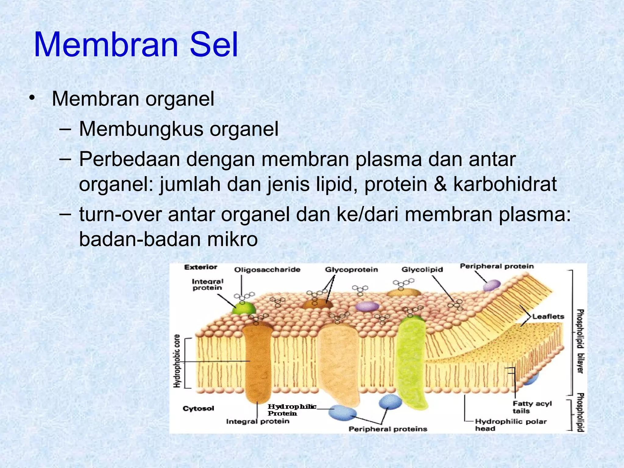 Biologi Tanaman : Sel (Unsoed) Smt 1 | PPT