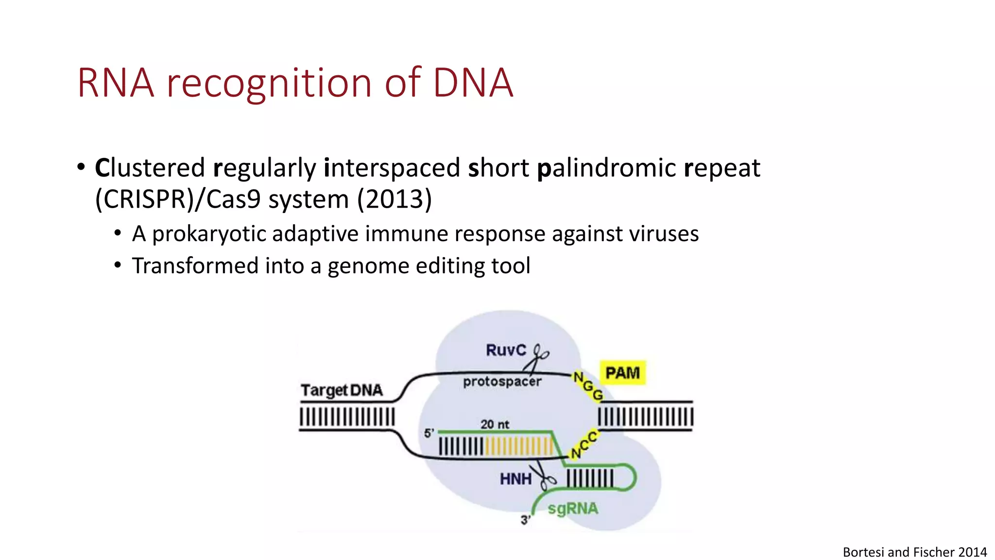 Transgene-free CRISPR/Cas9 genome-editing methods in plants | PPTX