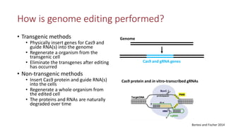 Transgene-free CRISPR/Cas9 genome-editing methods in plants | PPTX