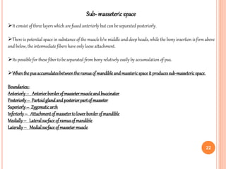 Space infection in dental practice | PPTX | Ear, Nose and Throat ...