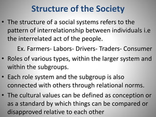 2.structural functional view of society | PPTX