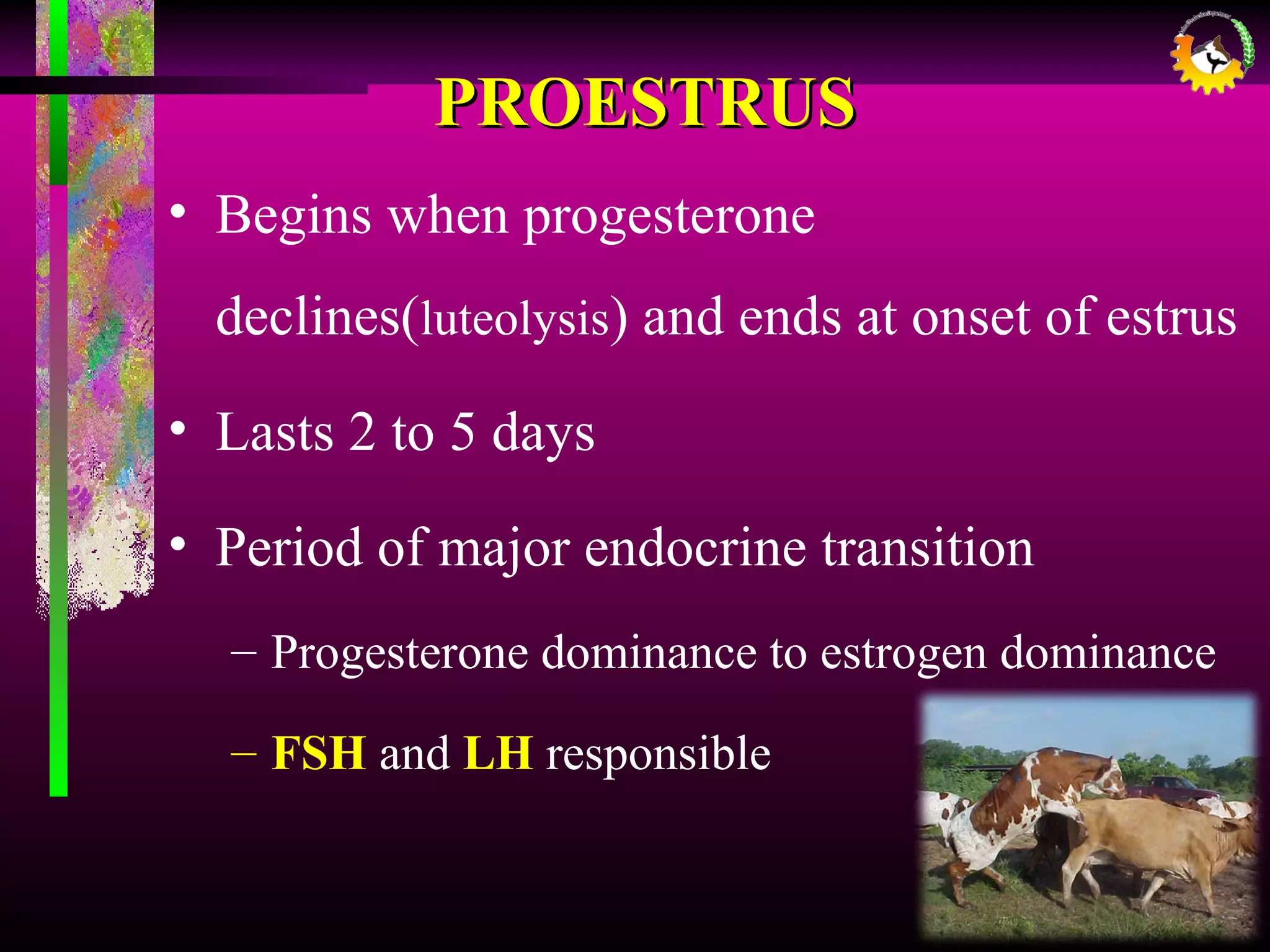 Presentation on ESTROUS CYCLE | PPT