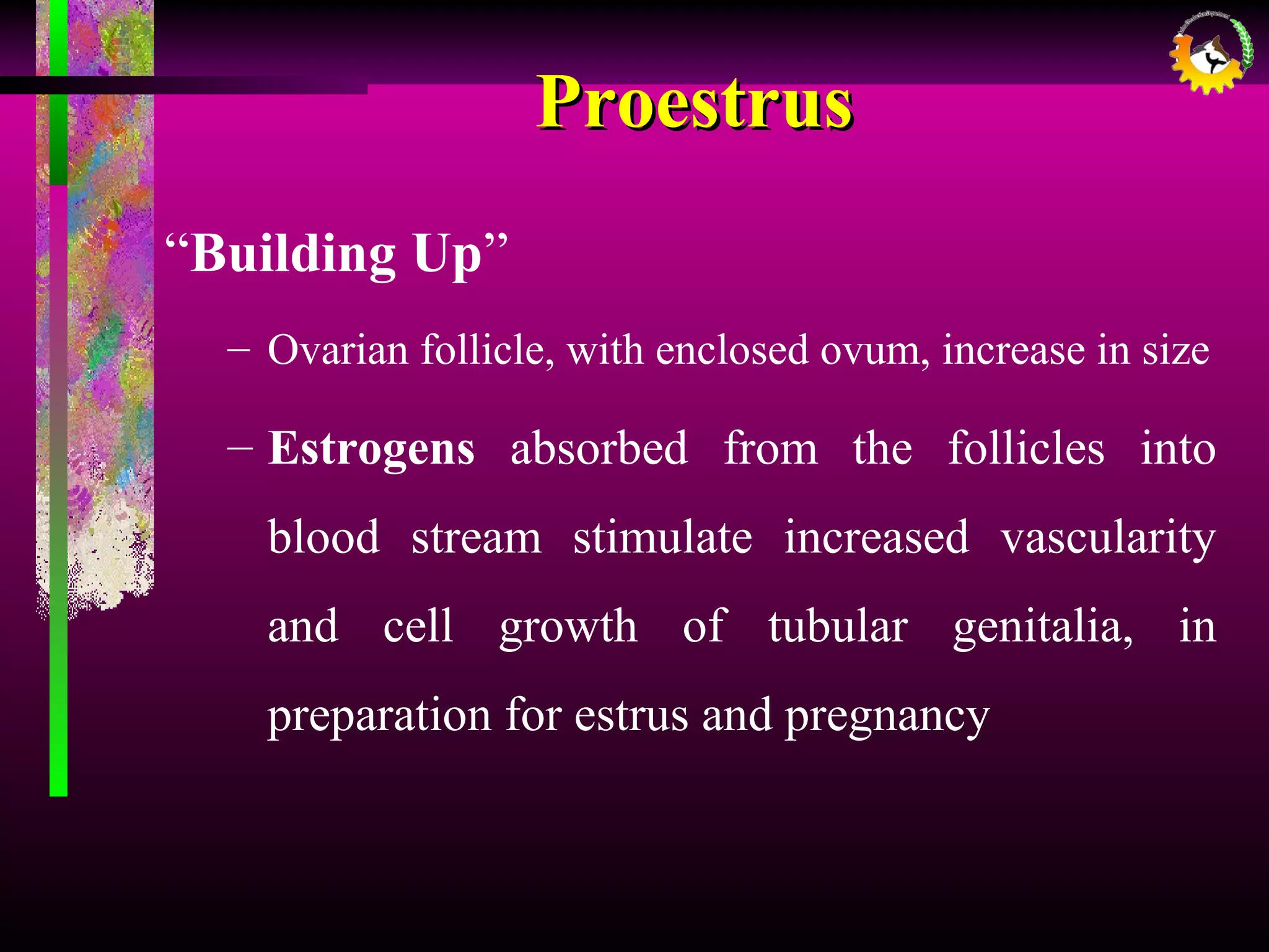 Presentation on ESTROUS CYCLE | PPT