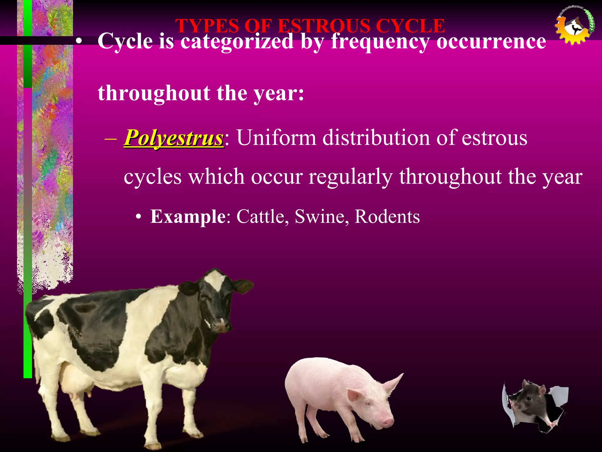 Presentation on ESTROUS CYCLE | PPT