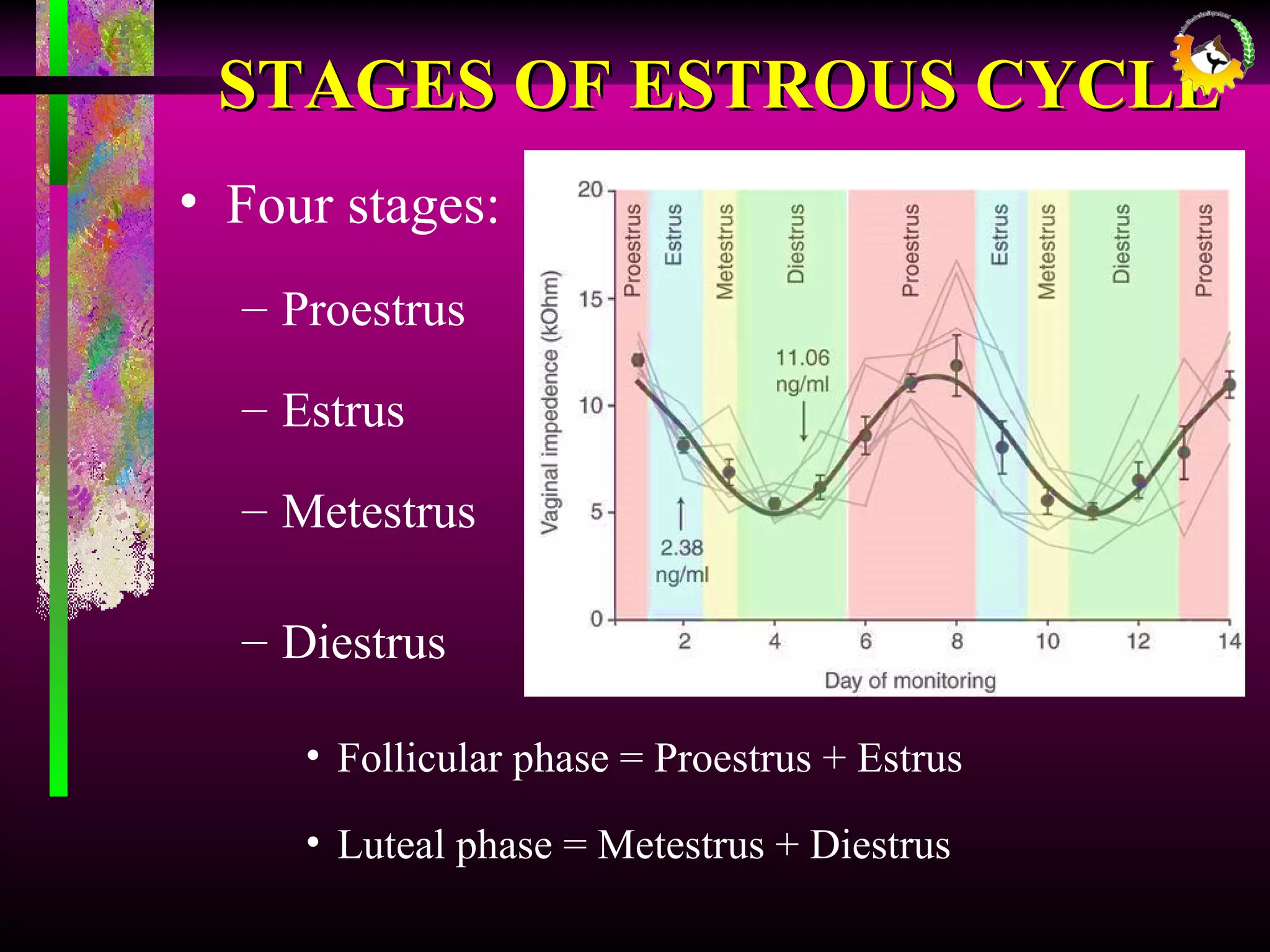 Presentation on ESTROUS CYCLE | PPT