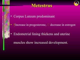 Presentation on ESTROUS CYCLE | PPT