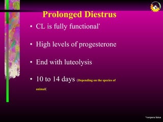 Presentation on ESTROUS CYCLE | PPT