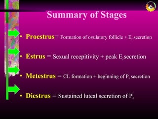 Presentation on ESTROUS CYCLE | PPT